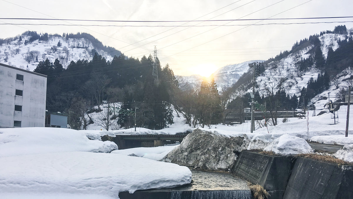 日本滑雪課程 – SNOWIN