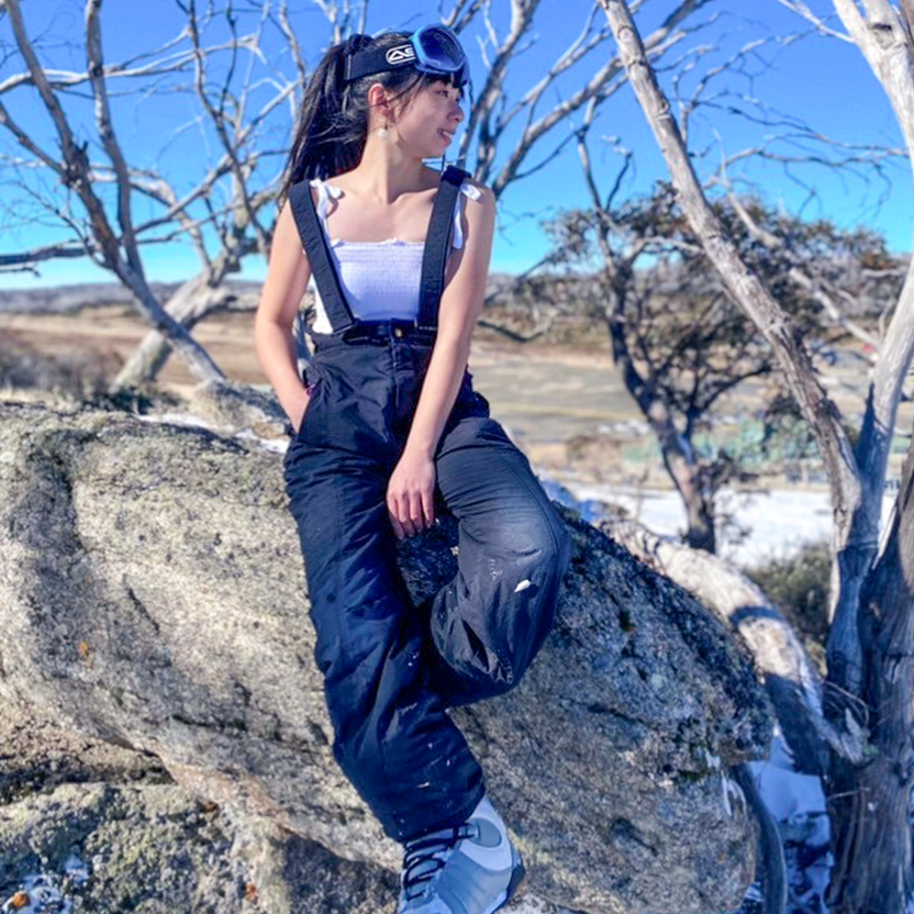 關於snowin – SNOWIN